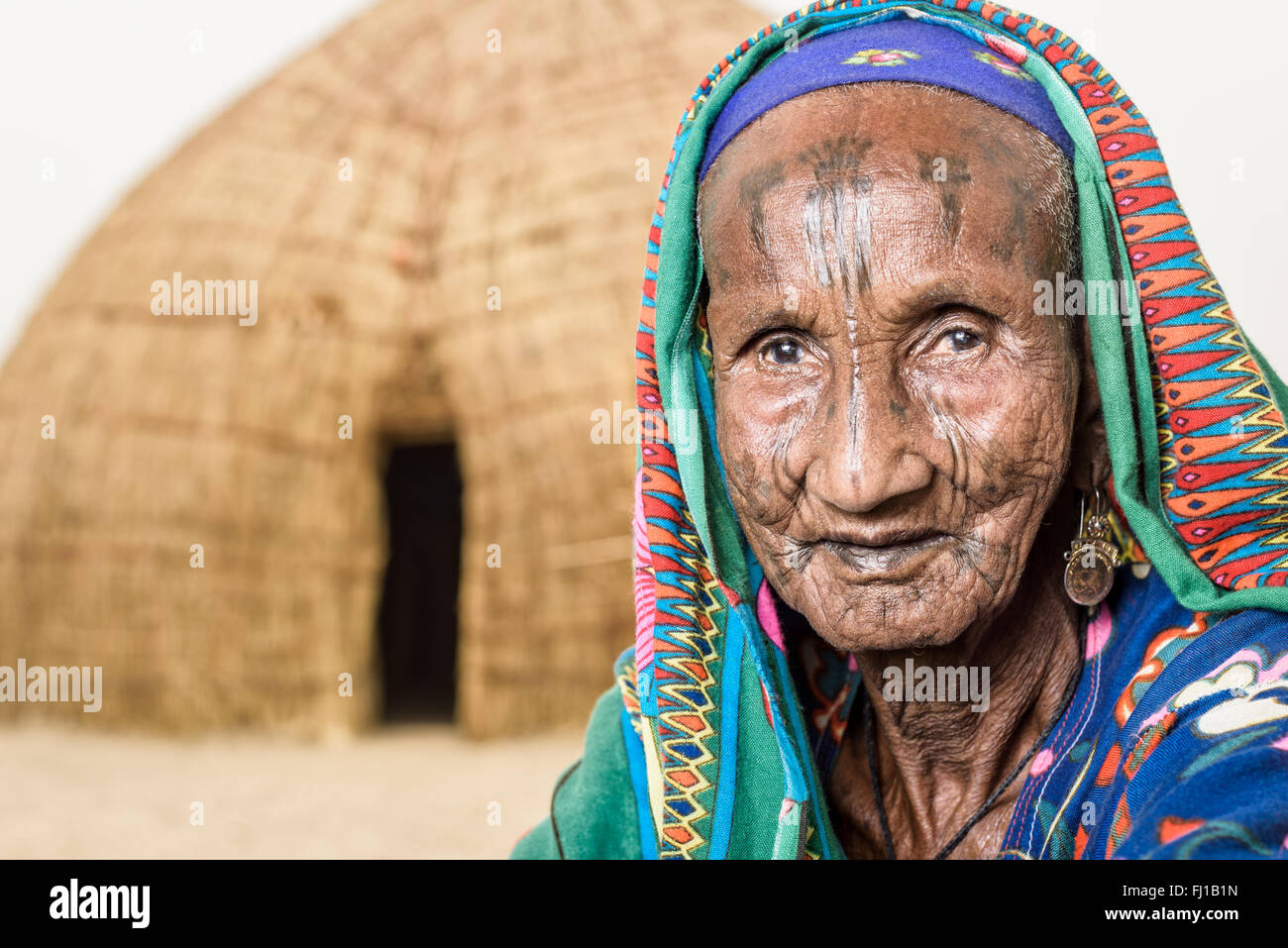 Portrait of an old Mbororo woman with typical scarifications on her ...