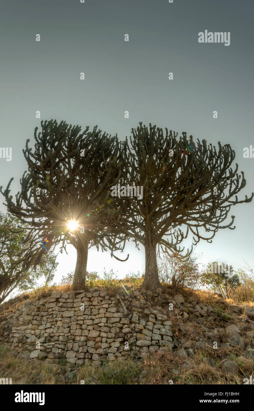 Naletale ruins in zimbabwe hi-res stock photography and images - Alamy