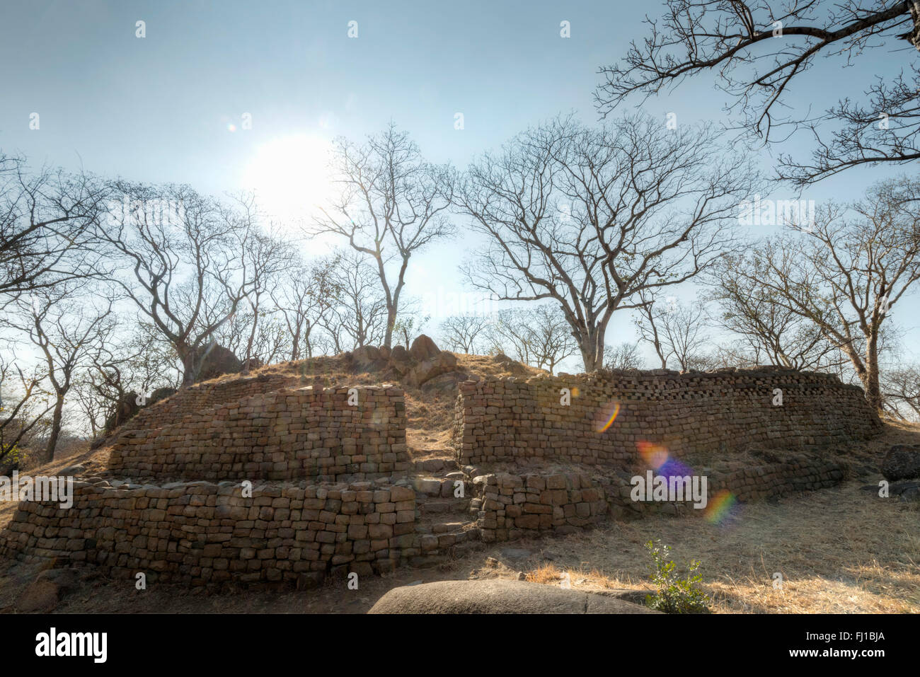 Rozvi empire hi-res stock photography and images - Alamy