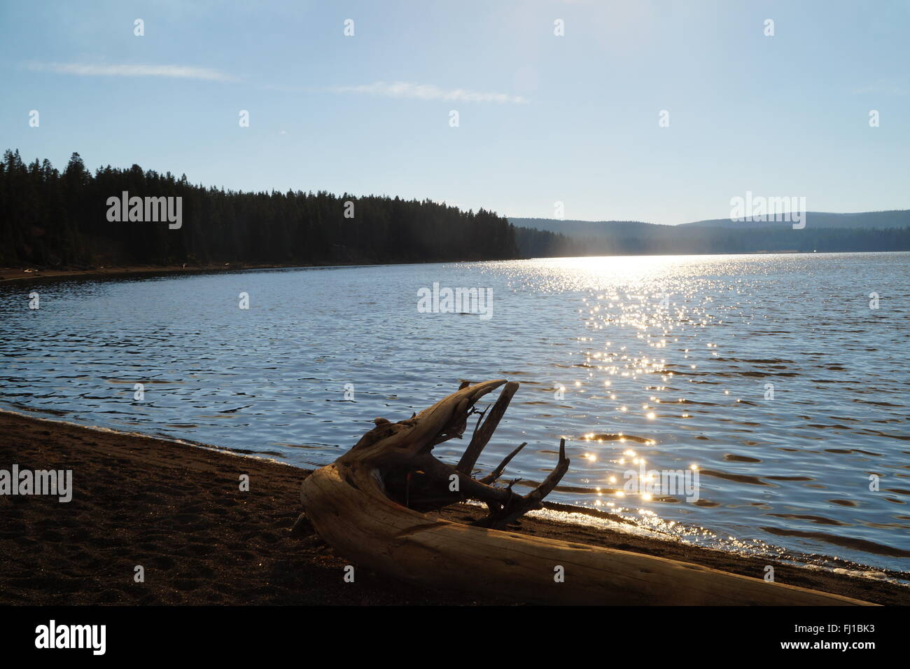 Sunset at Lake Yellowstone, Yellowstone National Park, USA Stock Photo ...