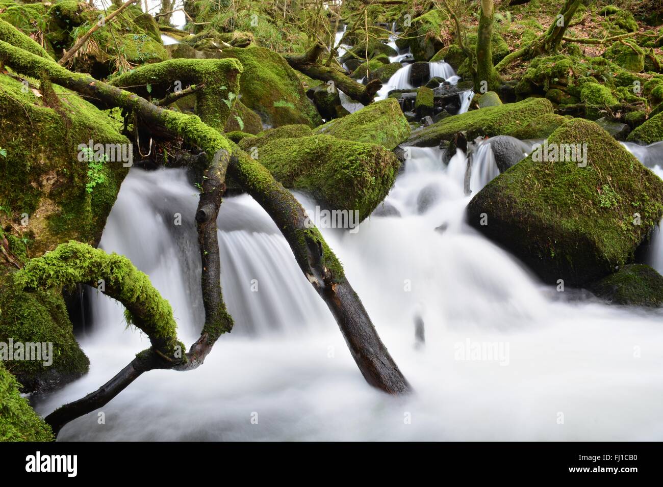 Burrator waterfall hi-res stock photography and images - Alamy