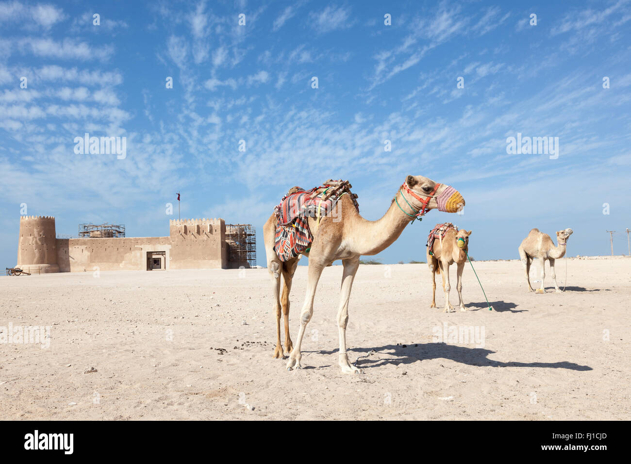 Historic Al Zubara fort in Qatar Stock Photo - Alamy