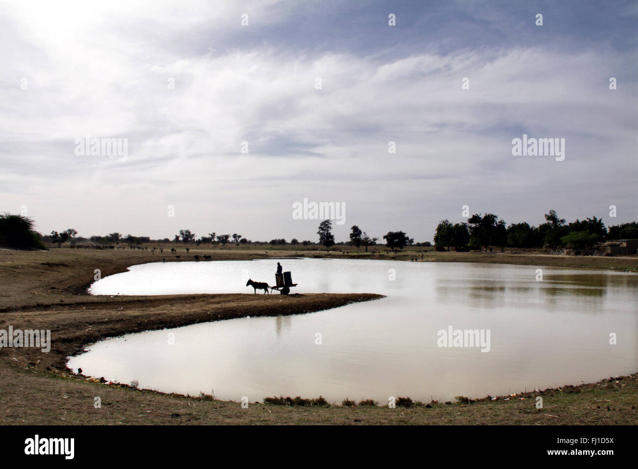 Lake of Gorom Gorom , landscape of Sahel region area , Burkina Faso ...