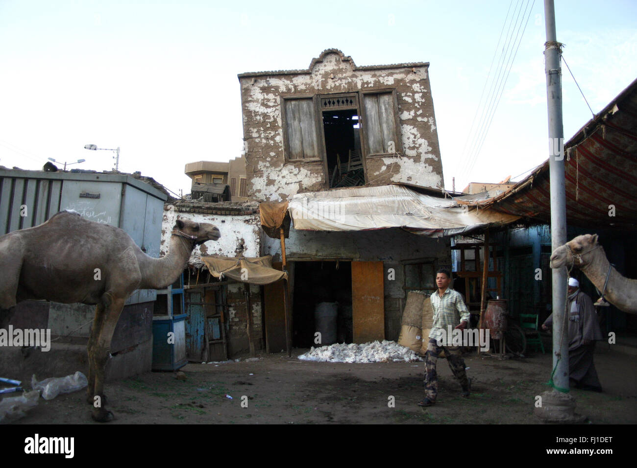Egypt people hi-res stock photography and images - Alamy