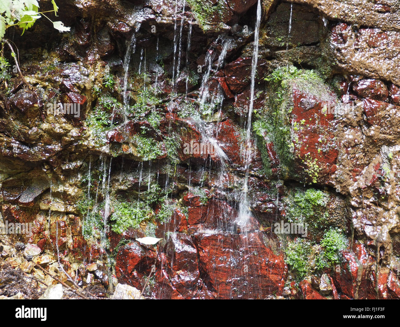 A closeup of falling water Stock Photo - Alamy
