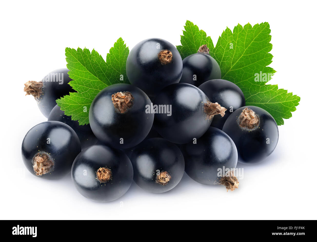 Pile of fresh black currants isolated on white with clipping path Stock ...