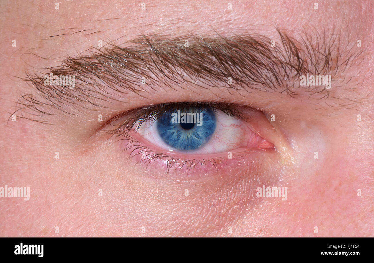 Sharp and detail macro of blue eye Stock Photo - Alamy