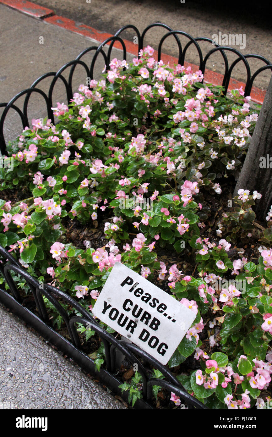 New york daily life hi-res stock photography and images - Alamy