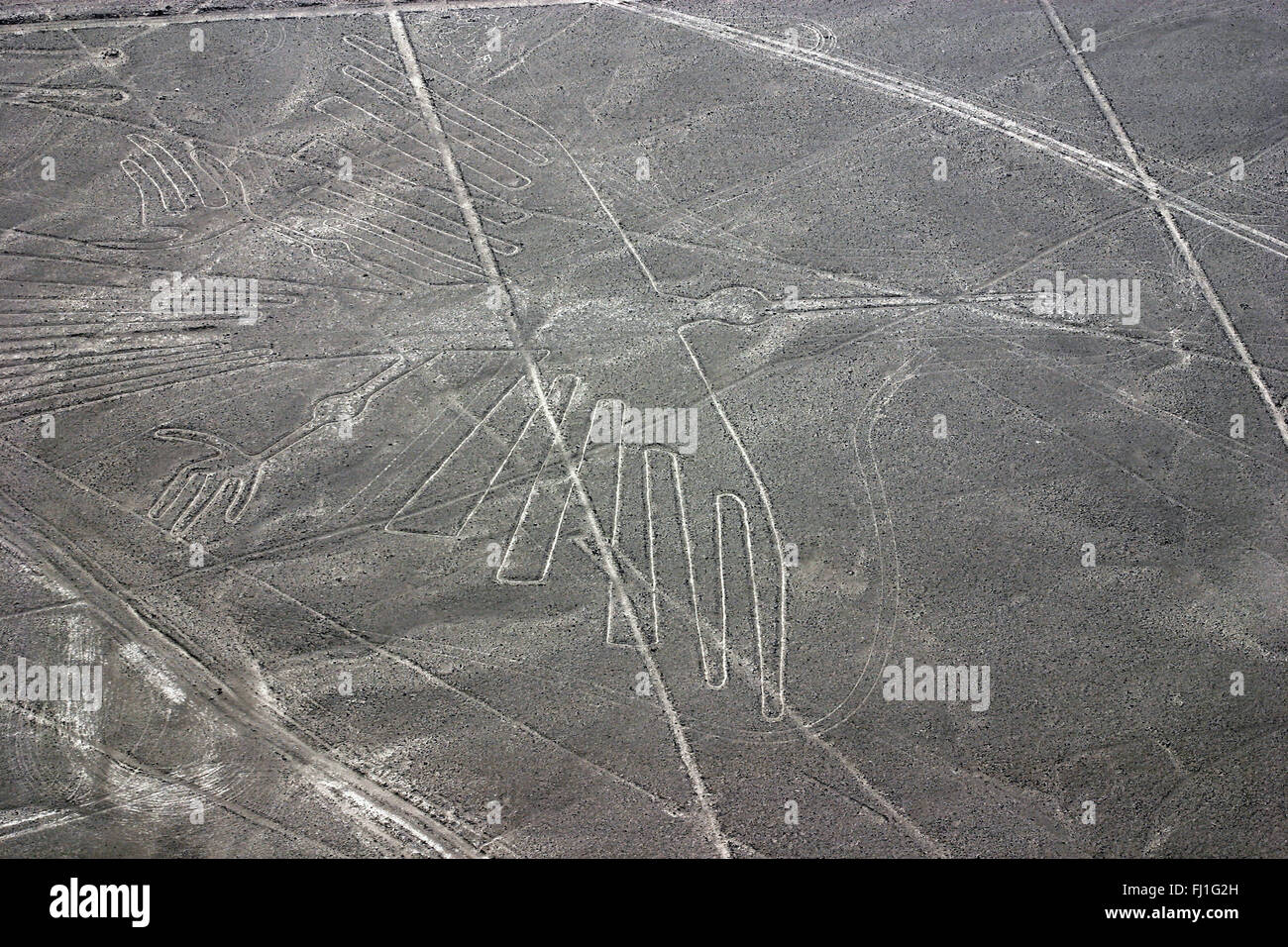 Nazca lines, Peru Stock Photo - Alamy