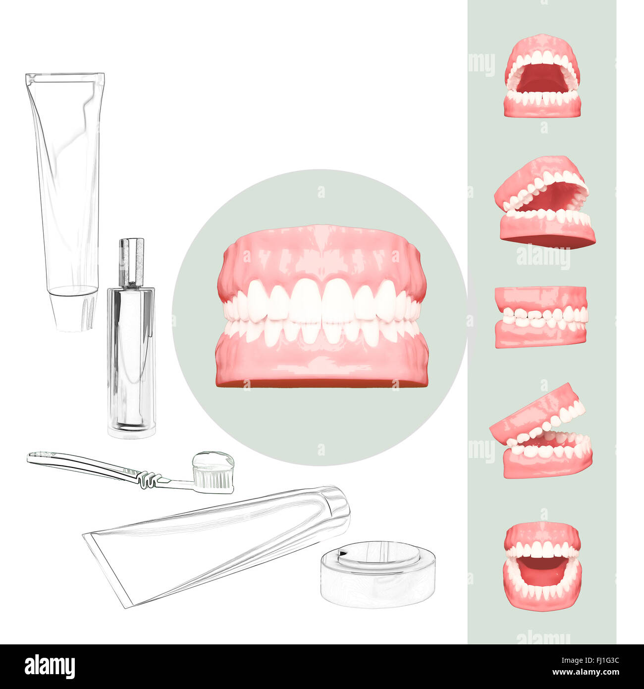 3d model of tooth hi-res stock photography and images - Alamy