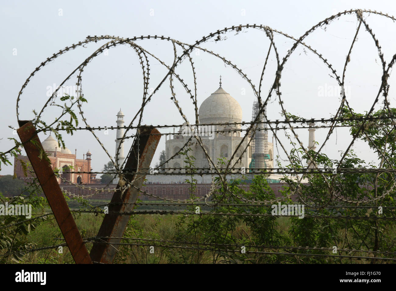 This is the back of the Taj Mahal from the opposite side of the Yamuna ...