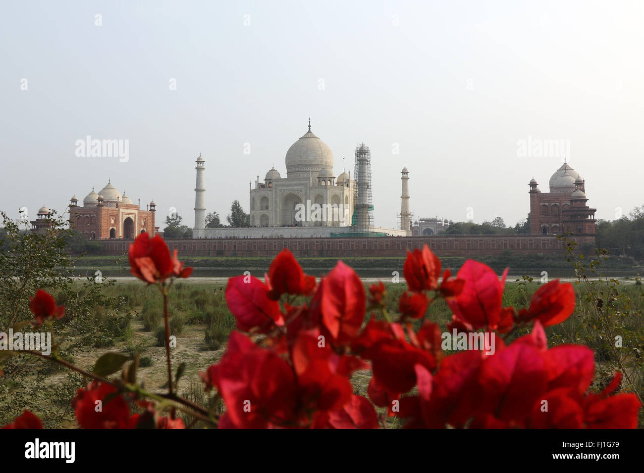 This is the back of the Taj Mahal from the opposite side of the Yamuna ...
