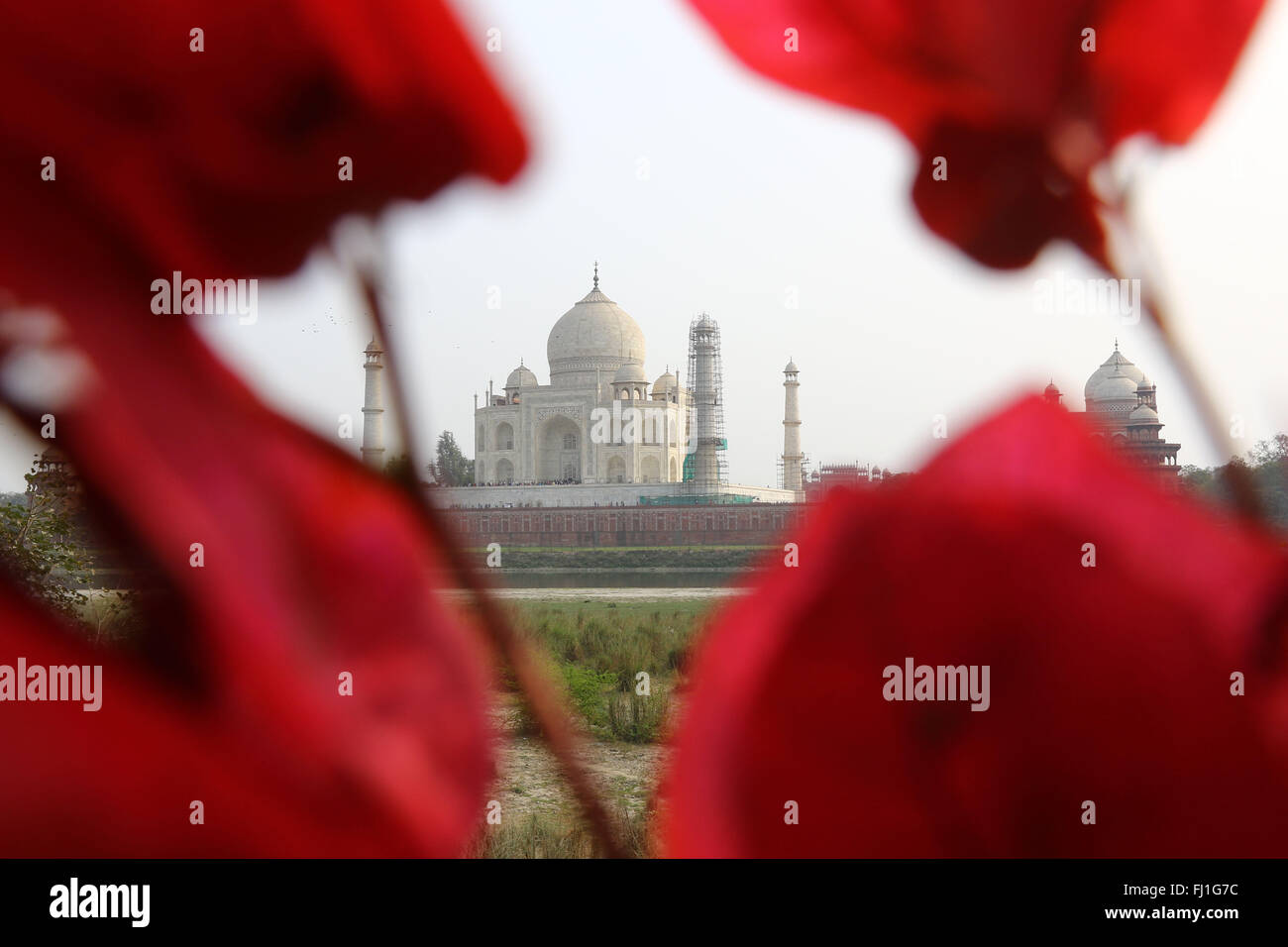 Back side taj mahal hi-res stock photography and images - Alamy