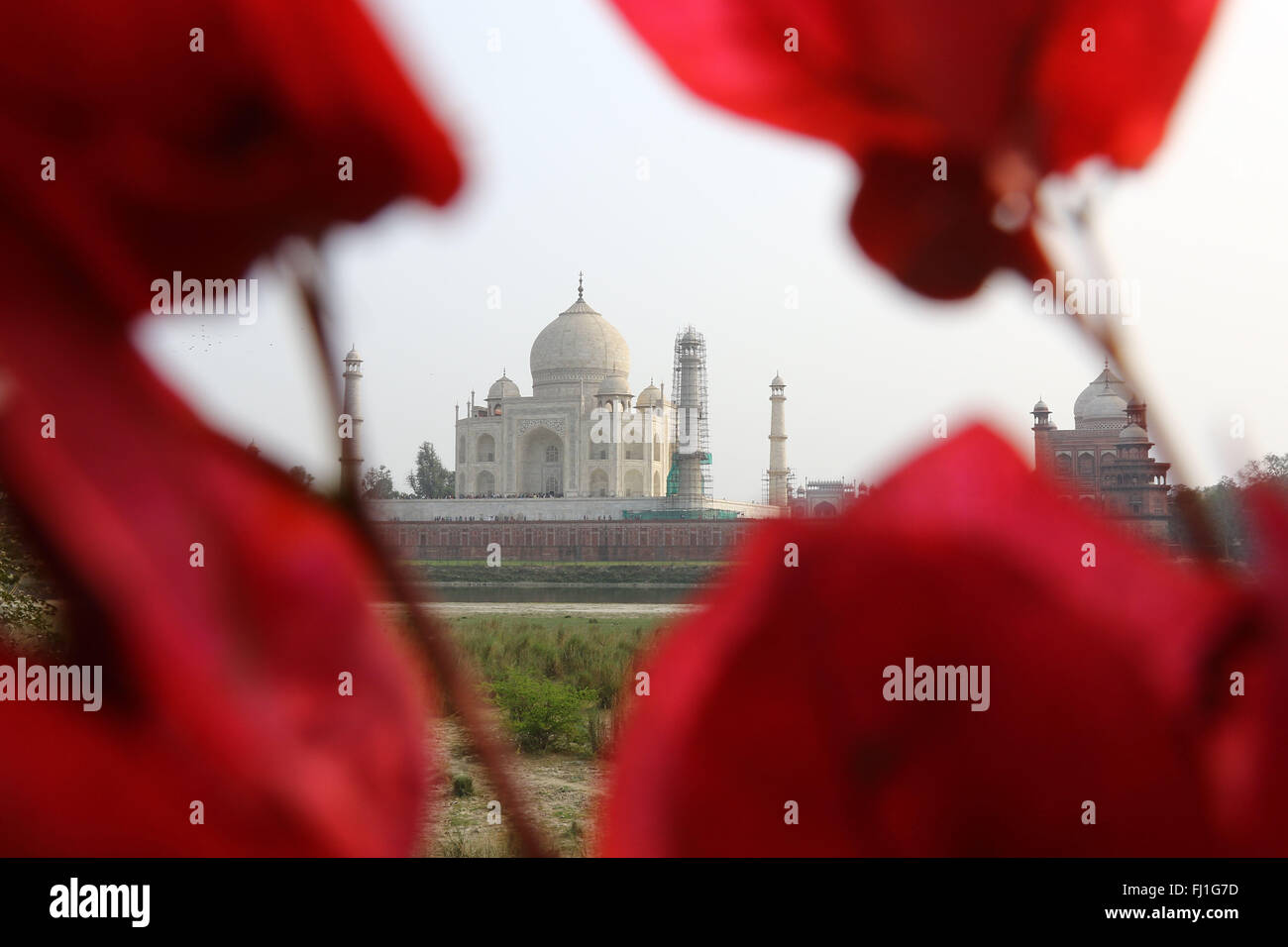Taj mahal back side hi-res stock photography and images - Alamy