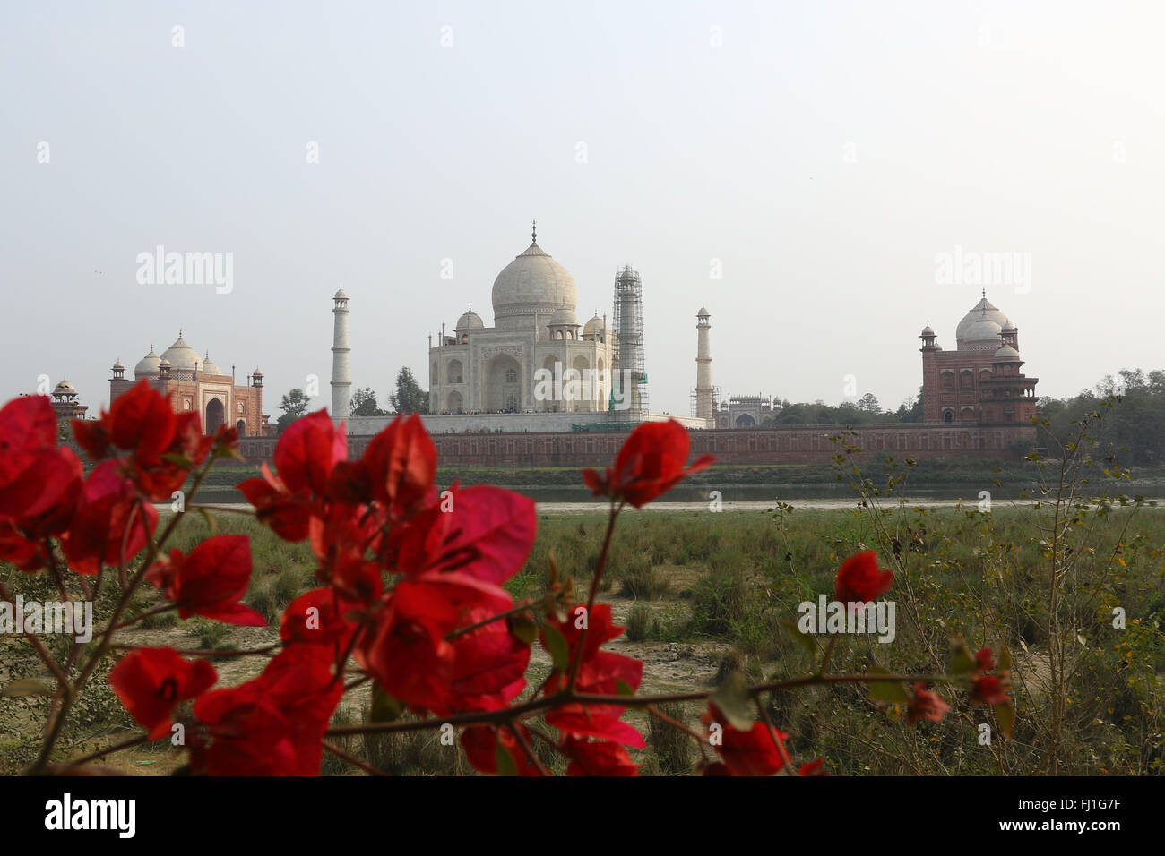 Taj mahal from the river side hi-res stock photography and images - Alamy