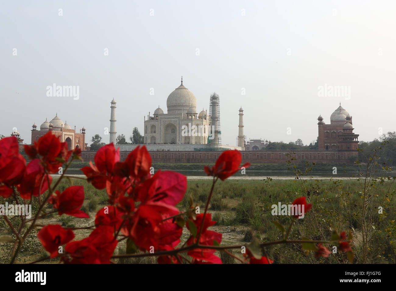 Taj mahal back side hi-res stock photography and images - Alamy