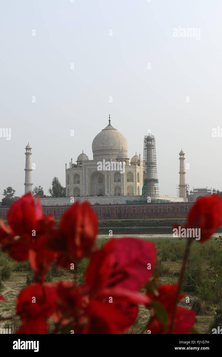 Back side taj mahal hi-res stock photography and images - Alamy