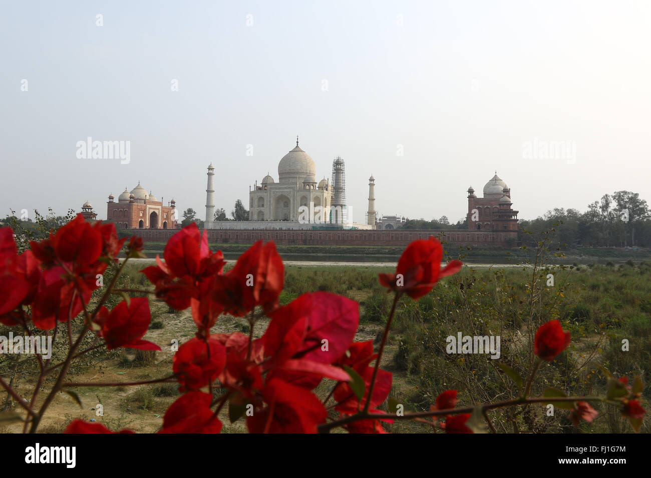 Back side taj mahal hi-res stock photography and images - Alamy
