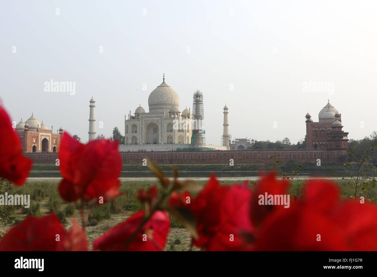 This is the back of the Taj Mahal from the opposite side of the Yamuna ...