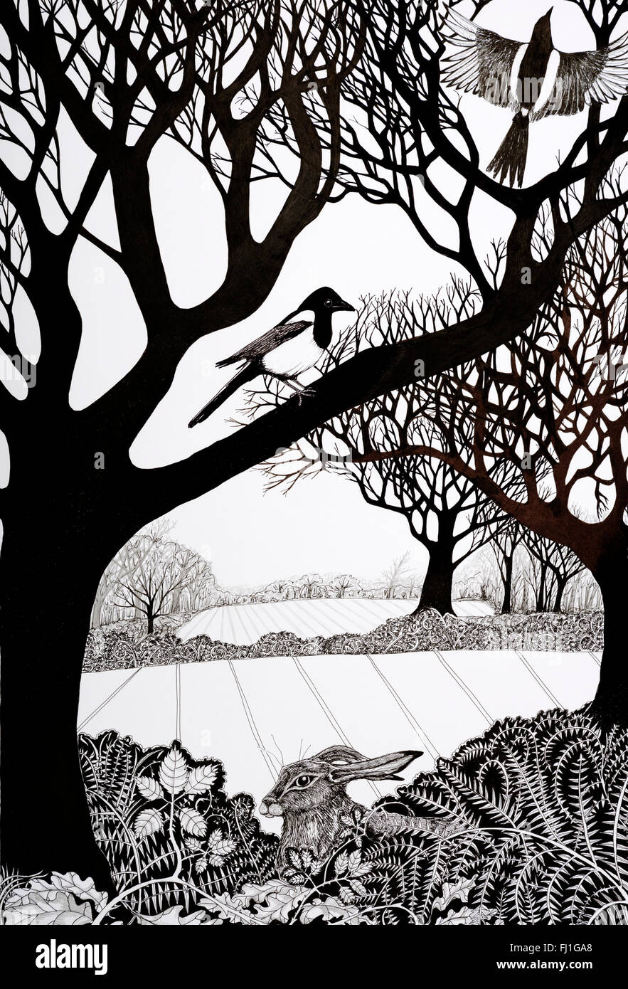 Magpies artwork hi-res stock photography and images - Alamy