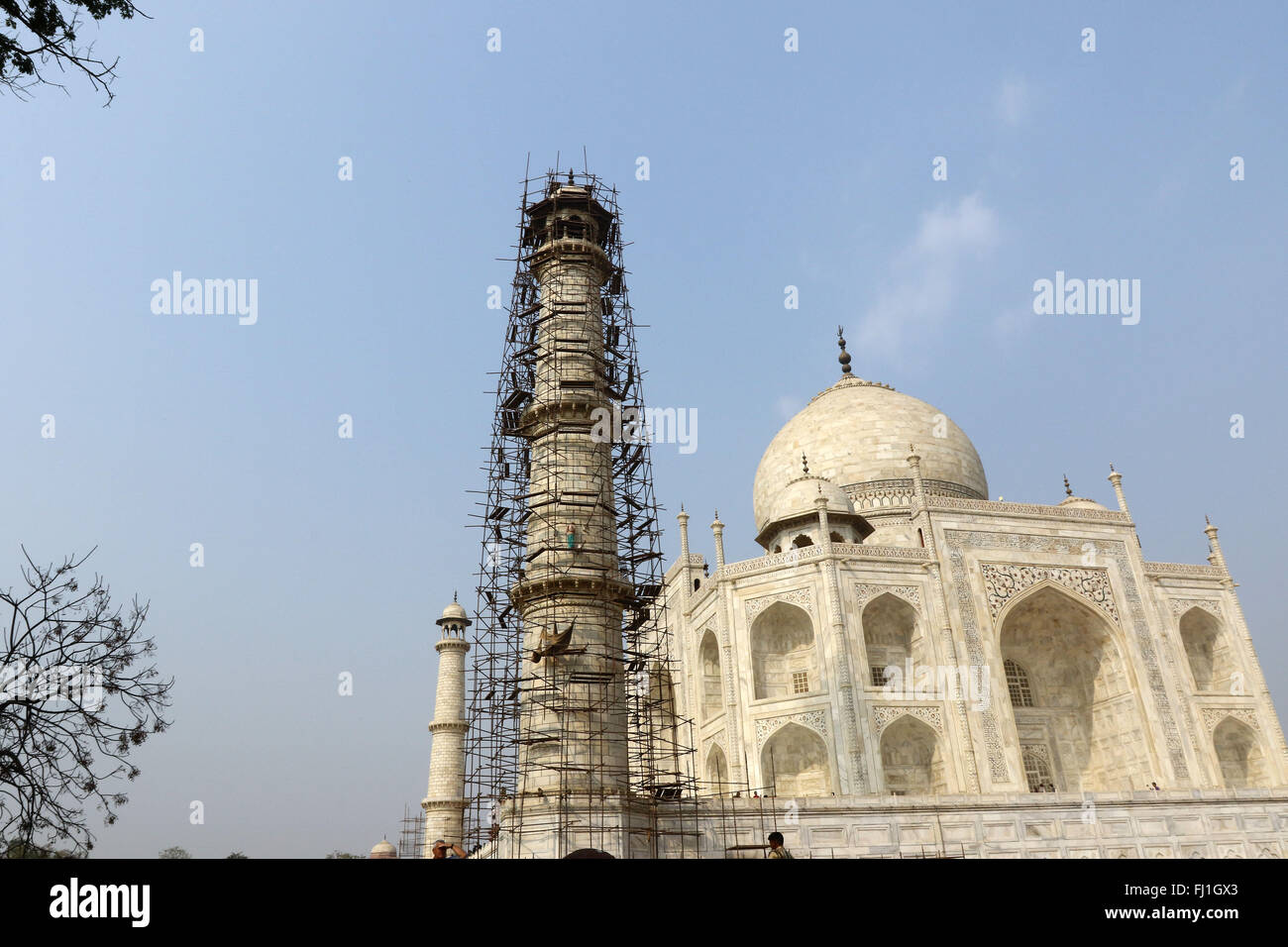 Taj Mahal white marble mausoleum pillar renovation Mughal architecture ...