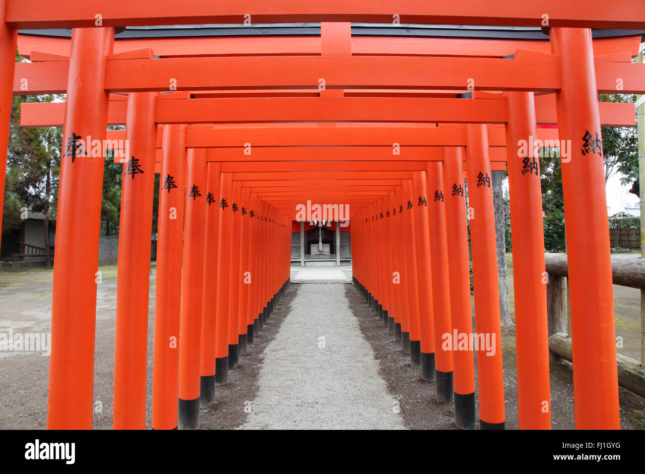 Shinto gates hi-res stock photography and images - Alamy
