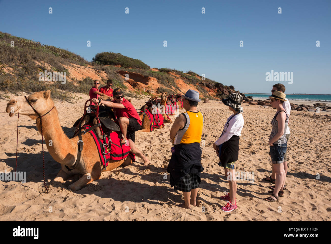 A member of staff showing a group of tourists on how to mount a saddled ...