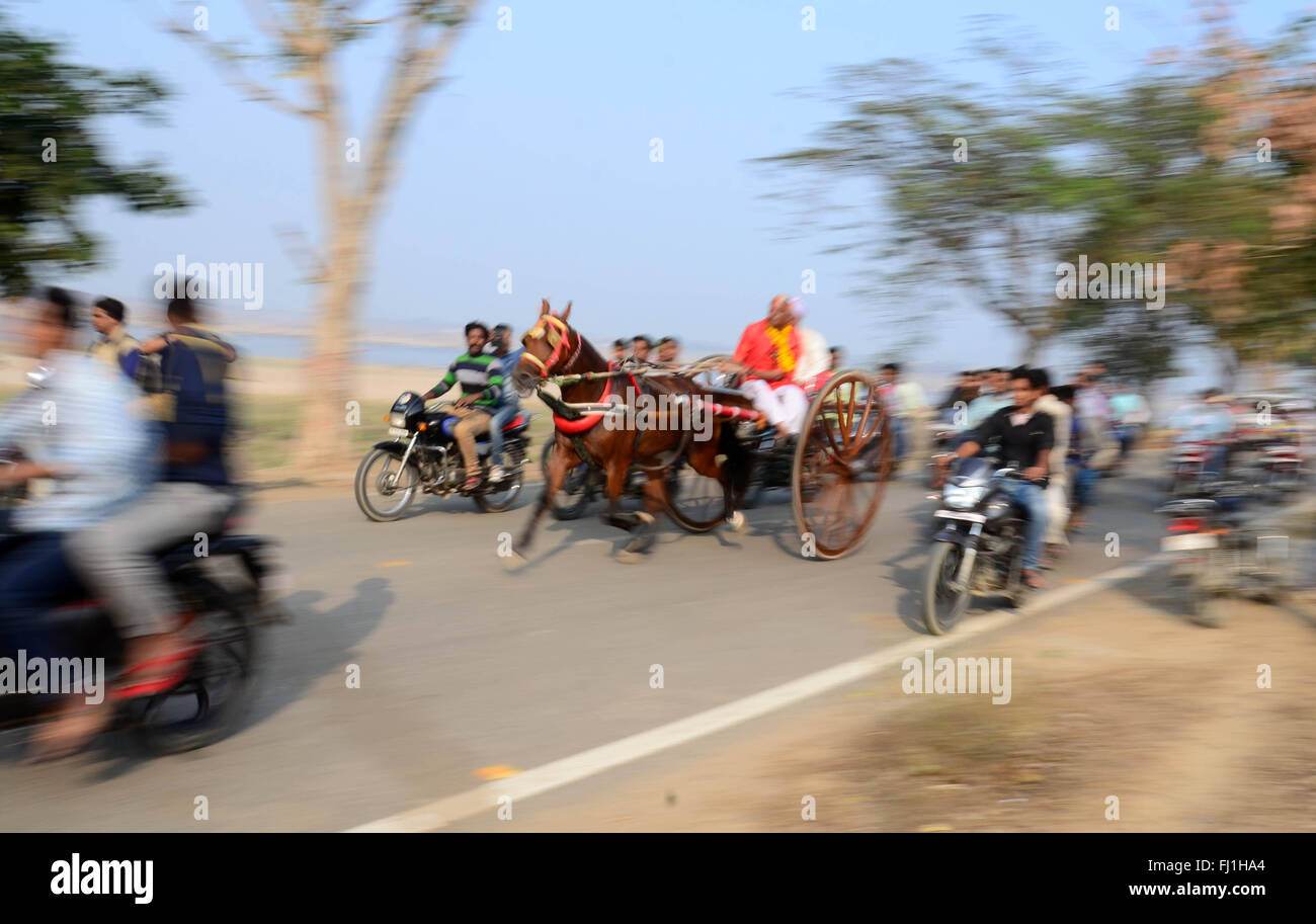 Horse cart race hi-res stock photography and images - Alamy