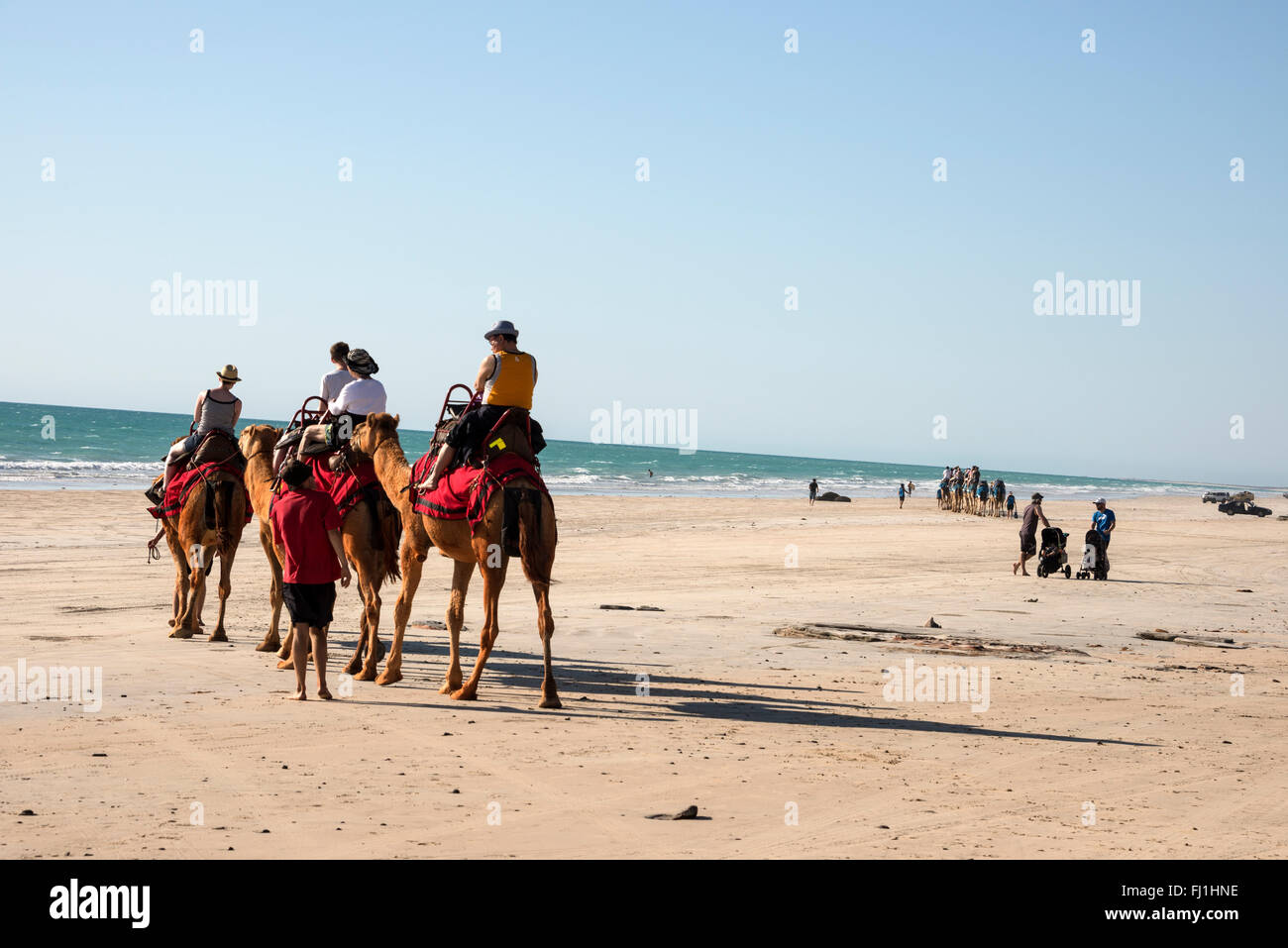 A camel train carrying tourists being led by their handlers on a 2km ...
