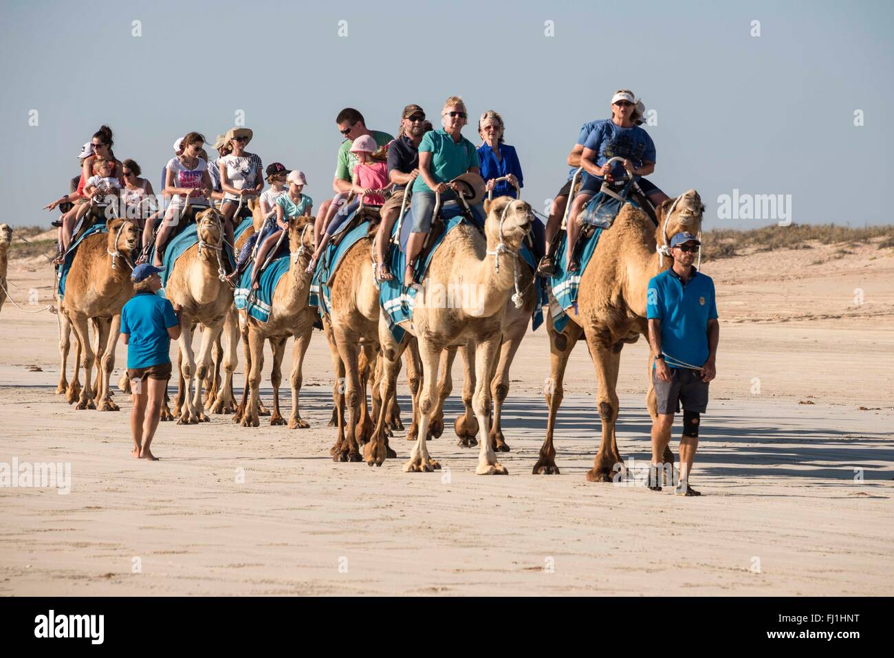 Camel train western australia hi-res stock photography and images - Alamy