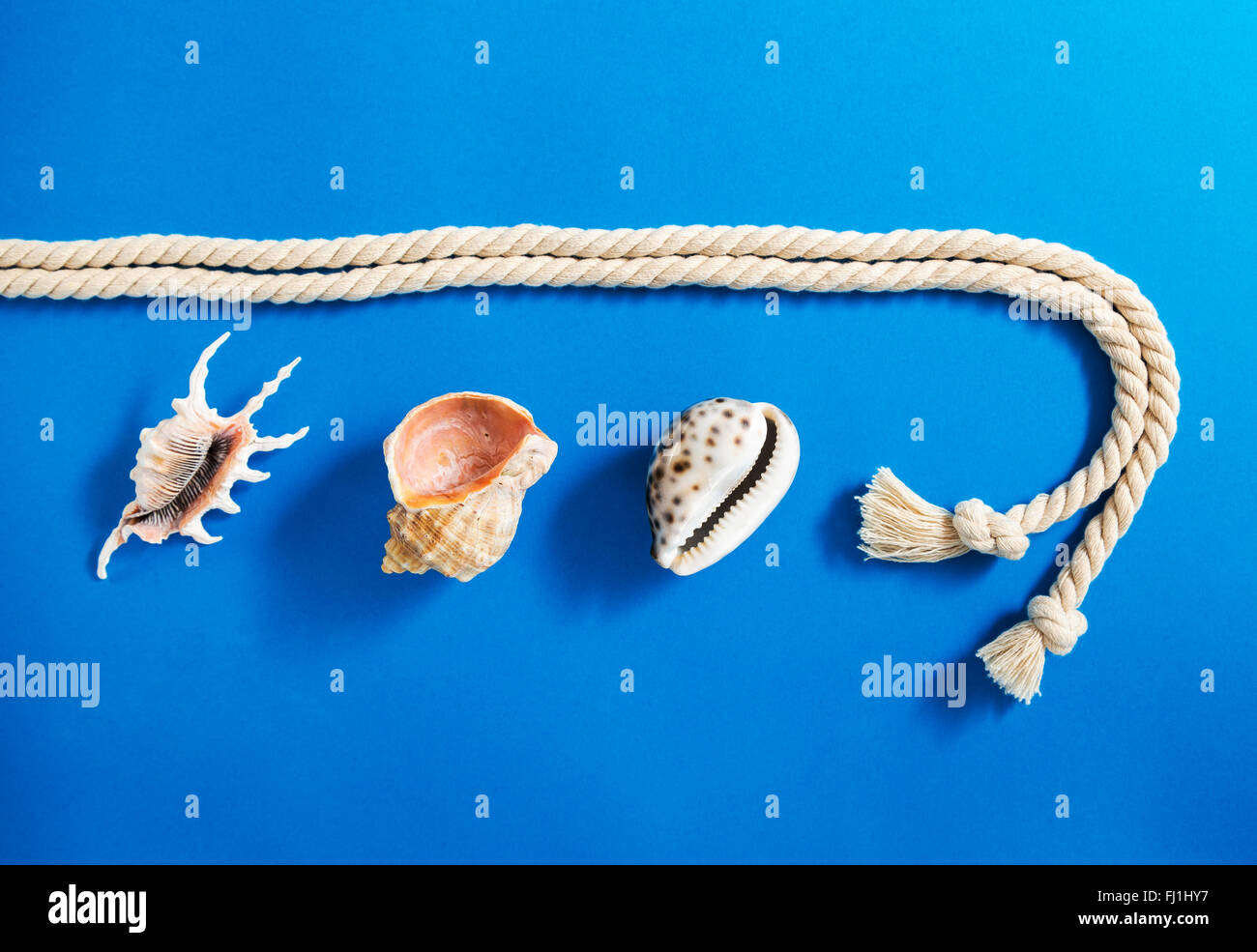 Rope with set of various sea shells Stock Photo - Alamy