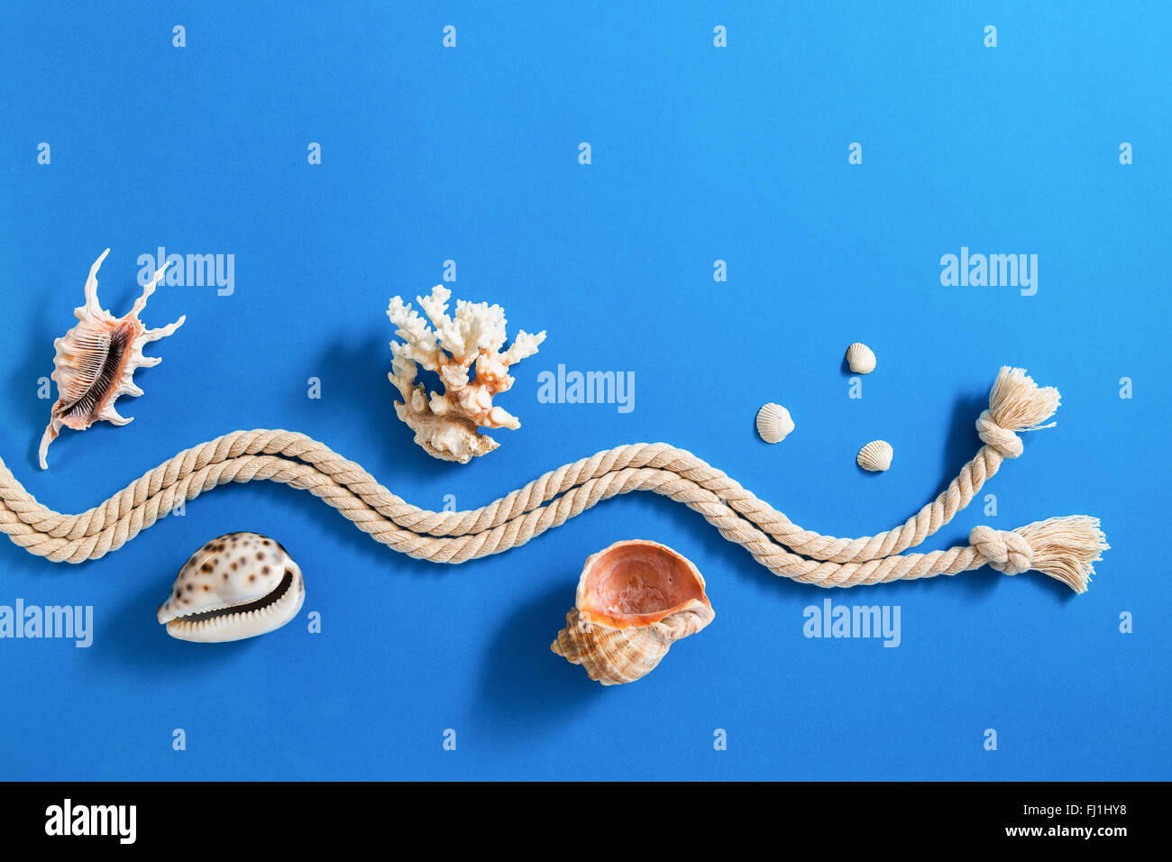 Rope with various sea shells on blue background Stock Photo - Alamy