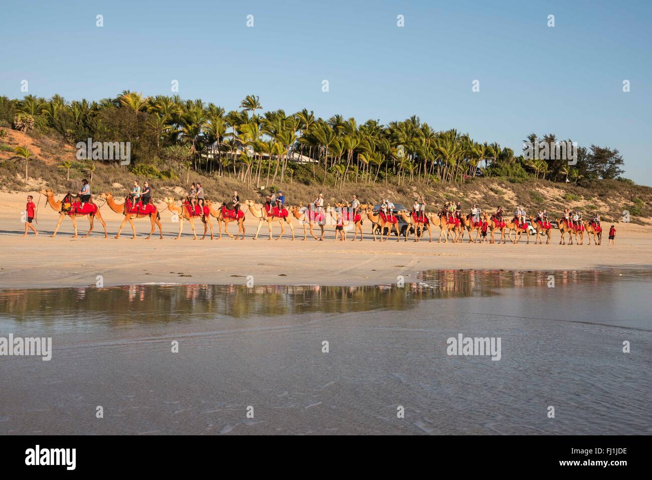 Cable beach camel broome hi-res stock photography and images - Alamy