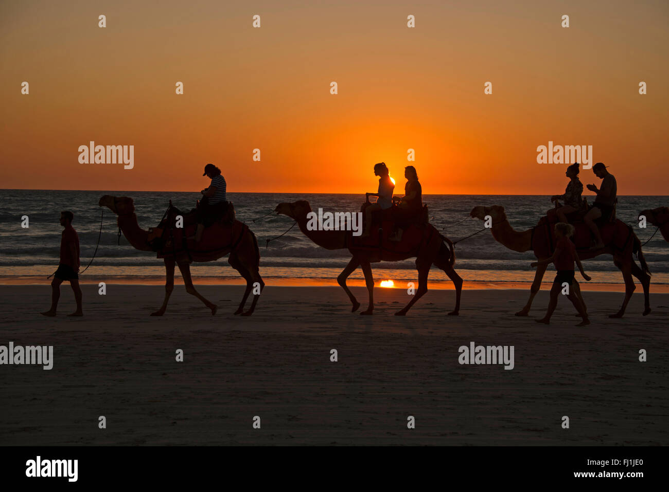 Camel handler hi-res stock photography and images - Alamy