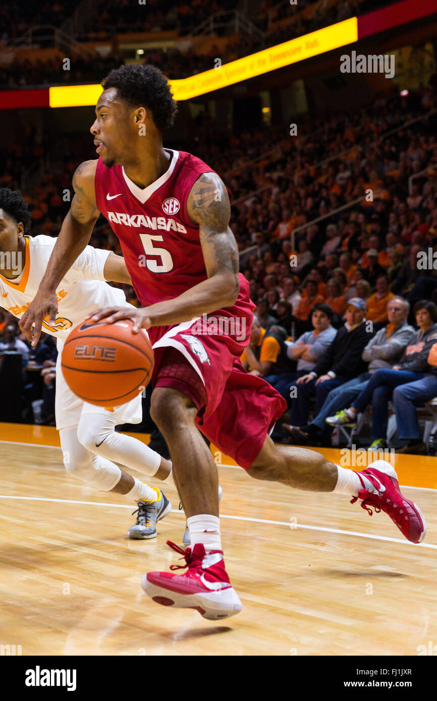University of arkansas razorbacks hi-res stock photography and images ...