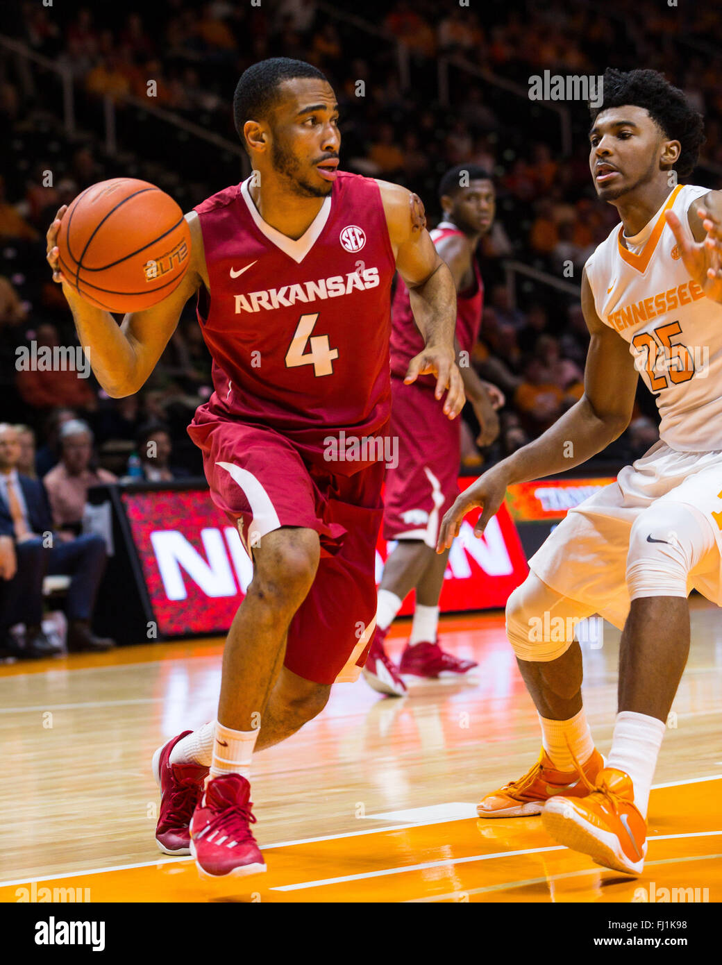 University of arkansas razorbacks hi-res stock photography and images ...