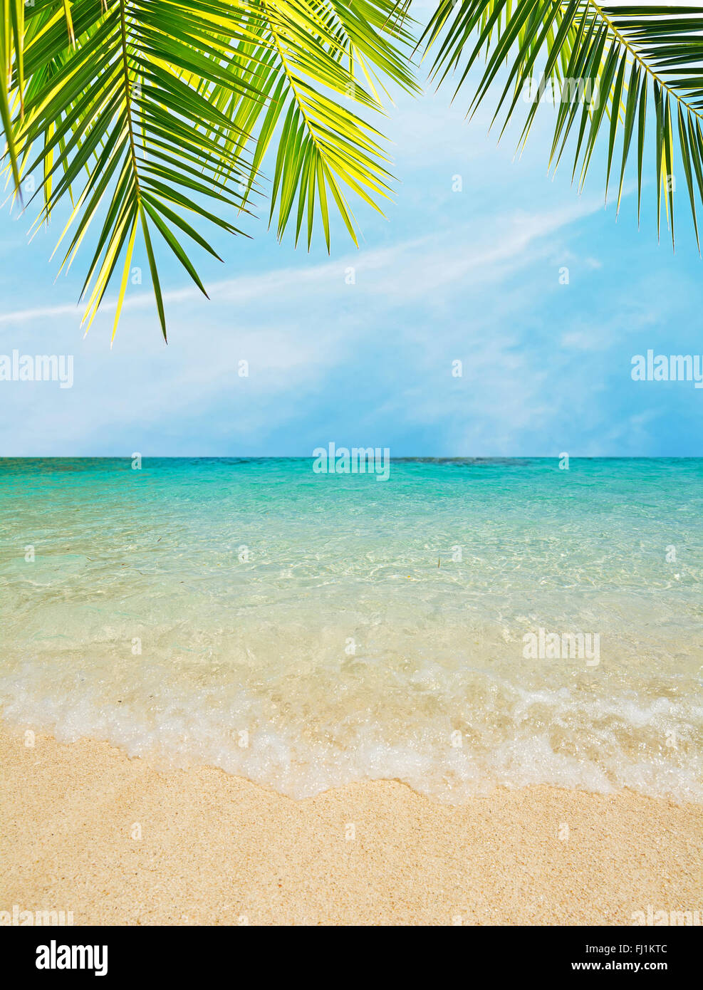 palm leaves over a tropical beach Stock Photo - Alamy
