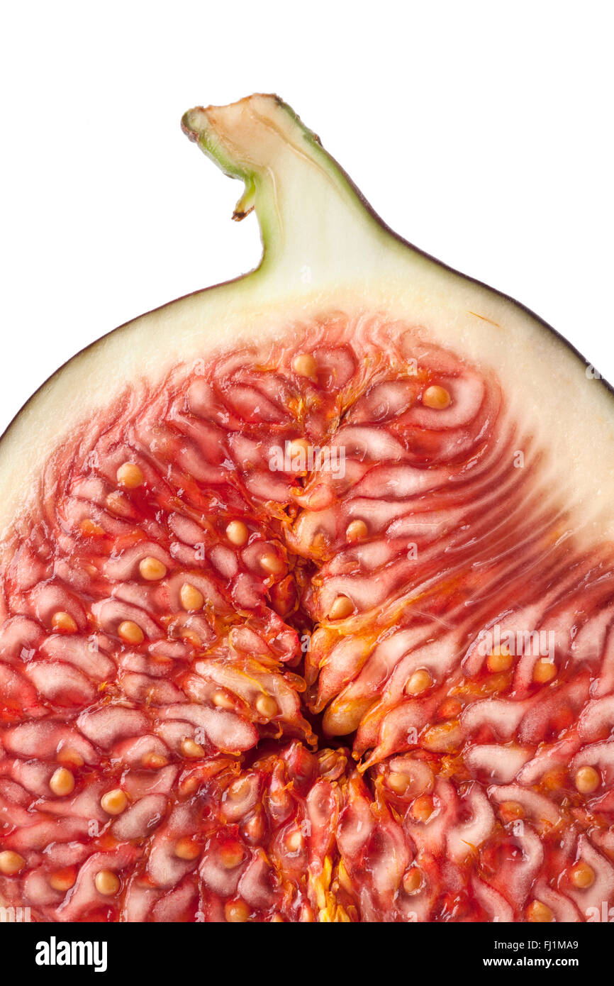 Fresh fig hi-res stock photography and images - Alamy