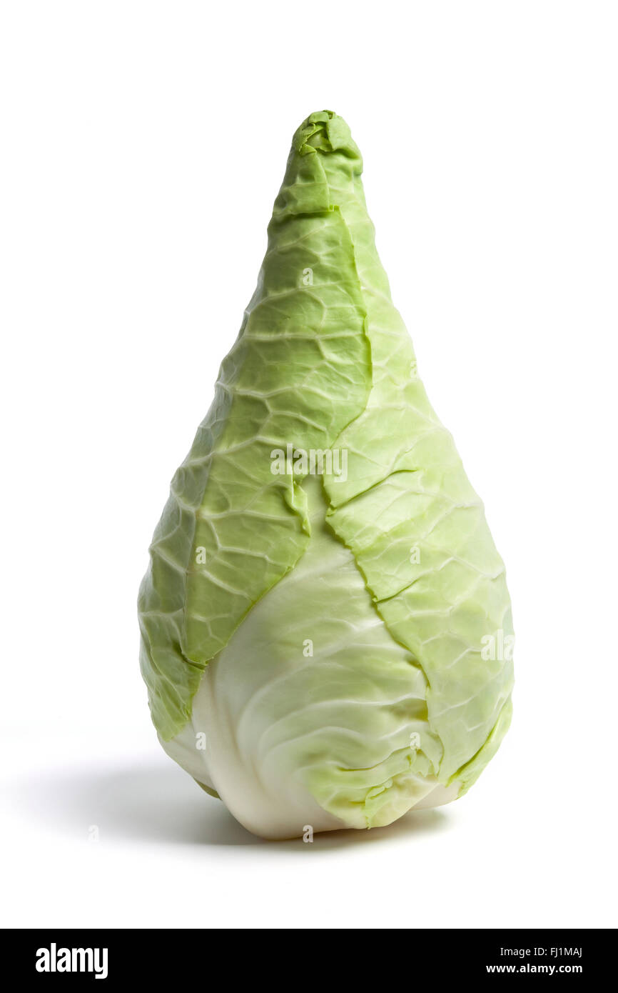 Pointed cabbage hi-res stock photography and images - Alamy