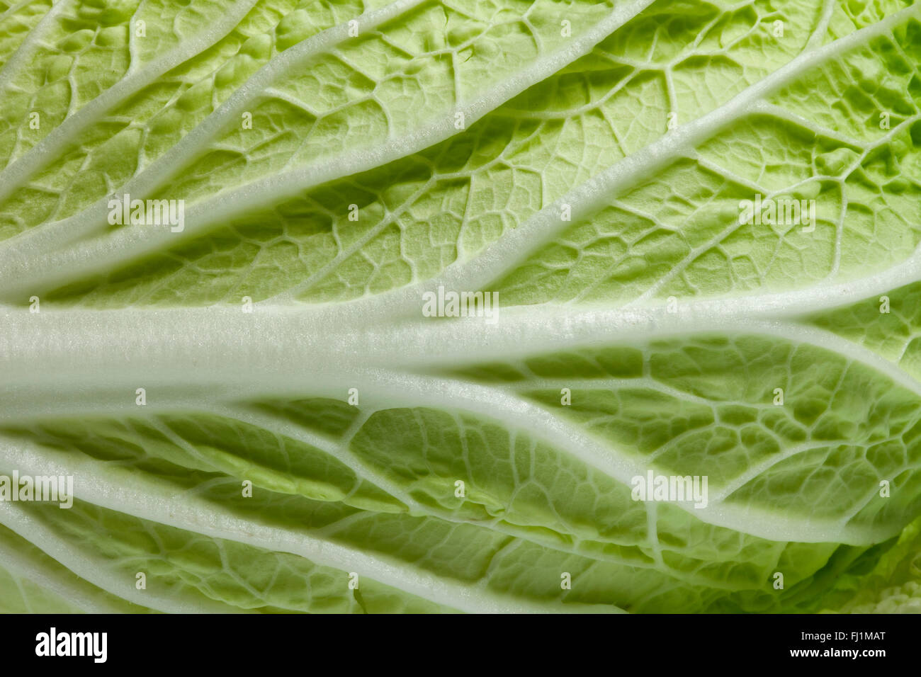 Chinese leaf hi-res stock photography and images - Alamy