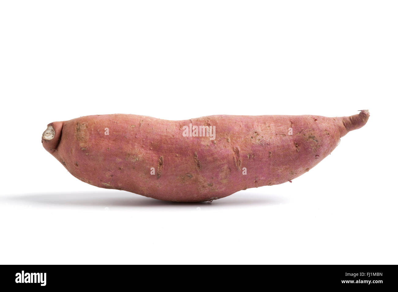 Fresh raw one single Sweet potato on white background Stock Photo - Alamy