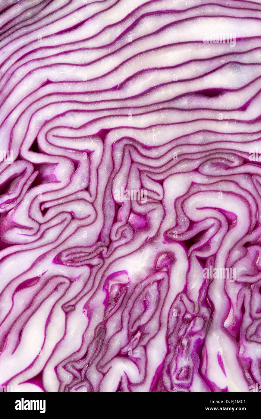 Pattern of fresh raw red cabbage full frame Stock Photo - Alamy