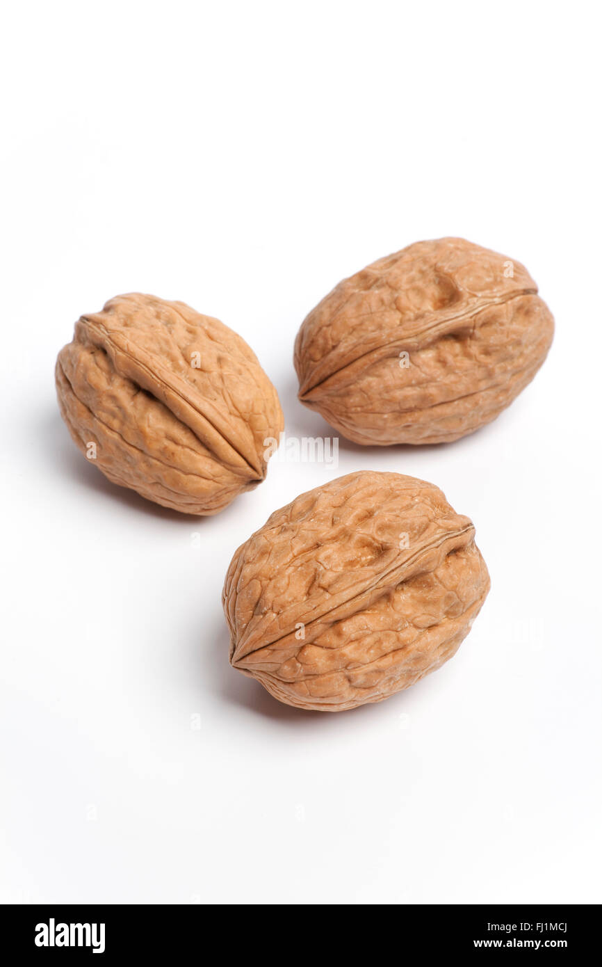 Whole walnuts on white background Stock Photo - Alamy