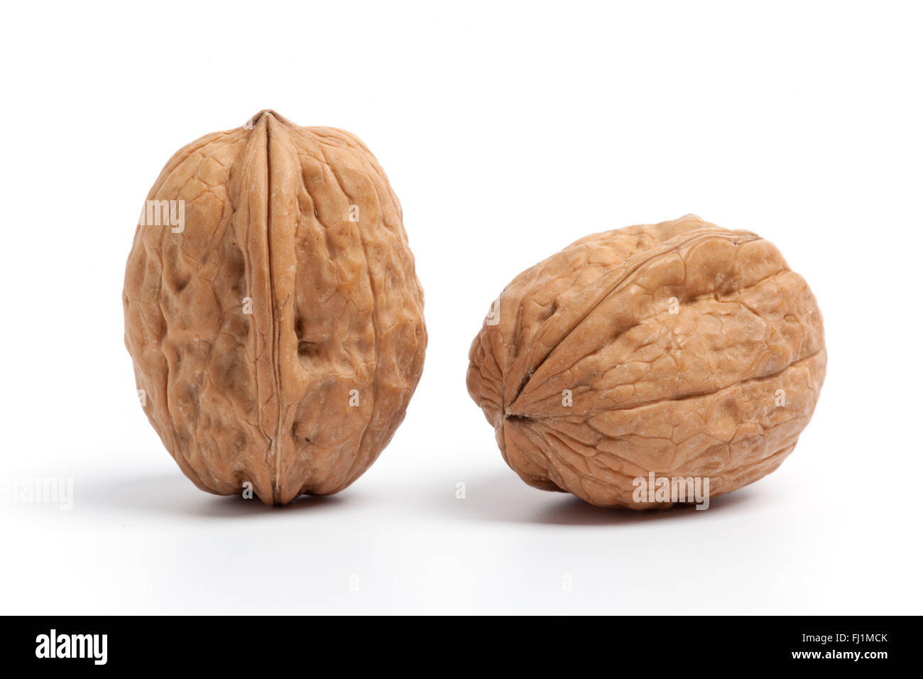 Two whole Walnuts on white background Stock Photo - Alamy