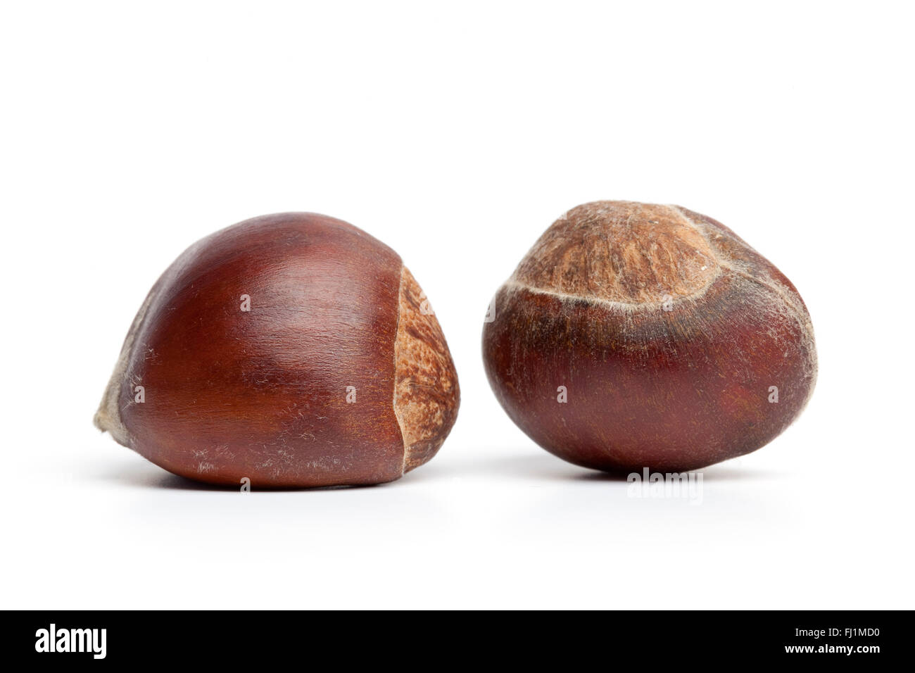 Fresh sweet Chestnuts on white background Stock Photo - Alamy