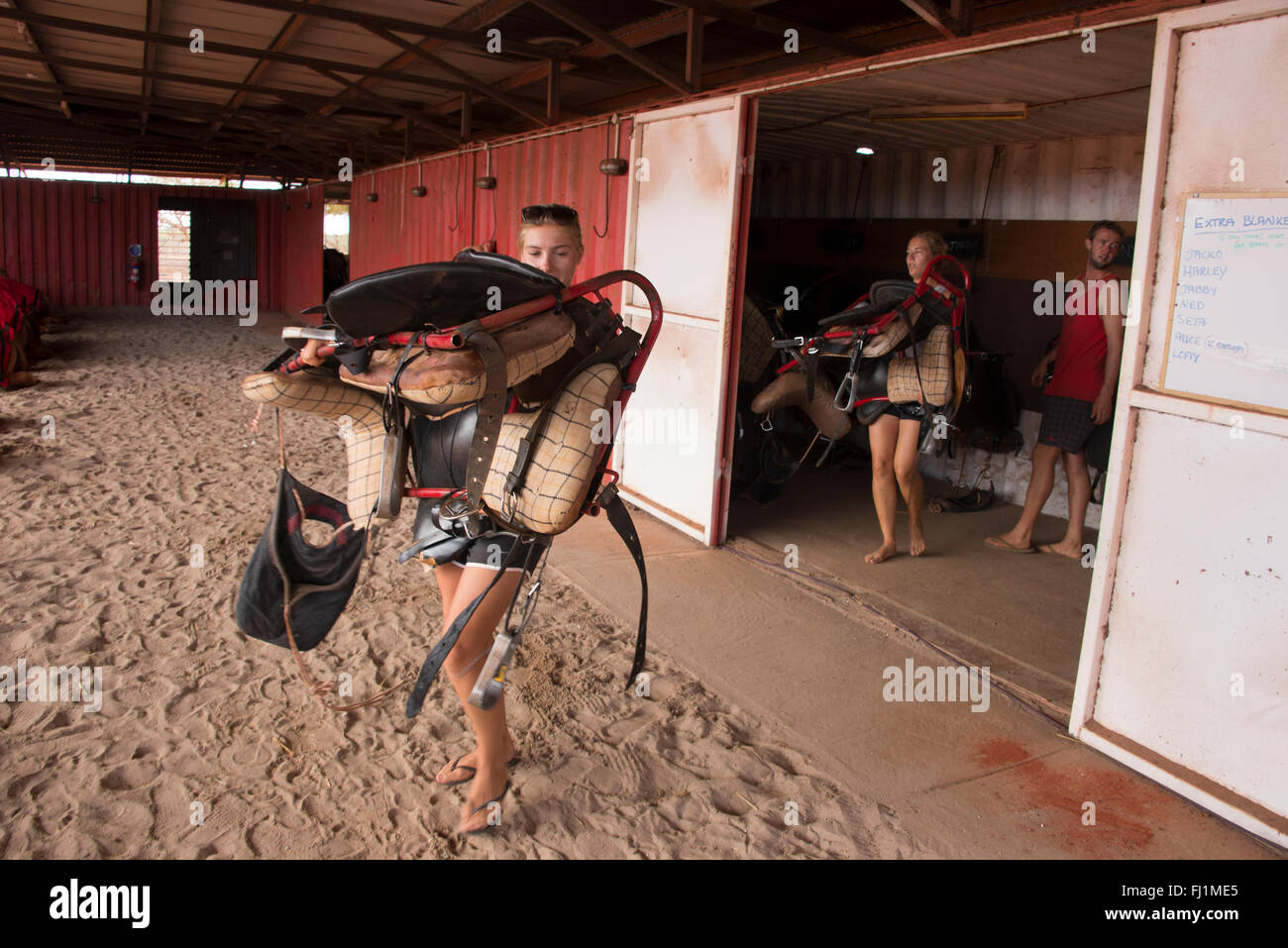 Camel saddle hi-res stock photography and images - Alamy