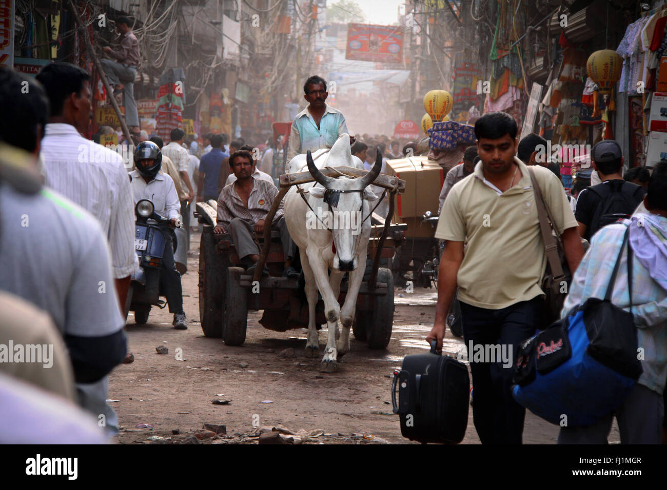 Bull pulling cart hi-res stock photography and images - Alamy