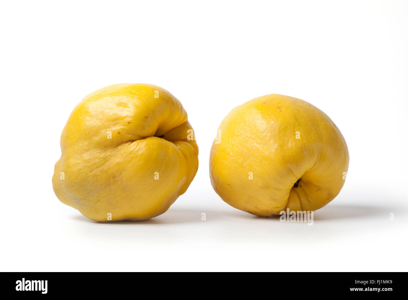 Fresh yellow quinces on white background Stock Photo - Alamy