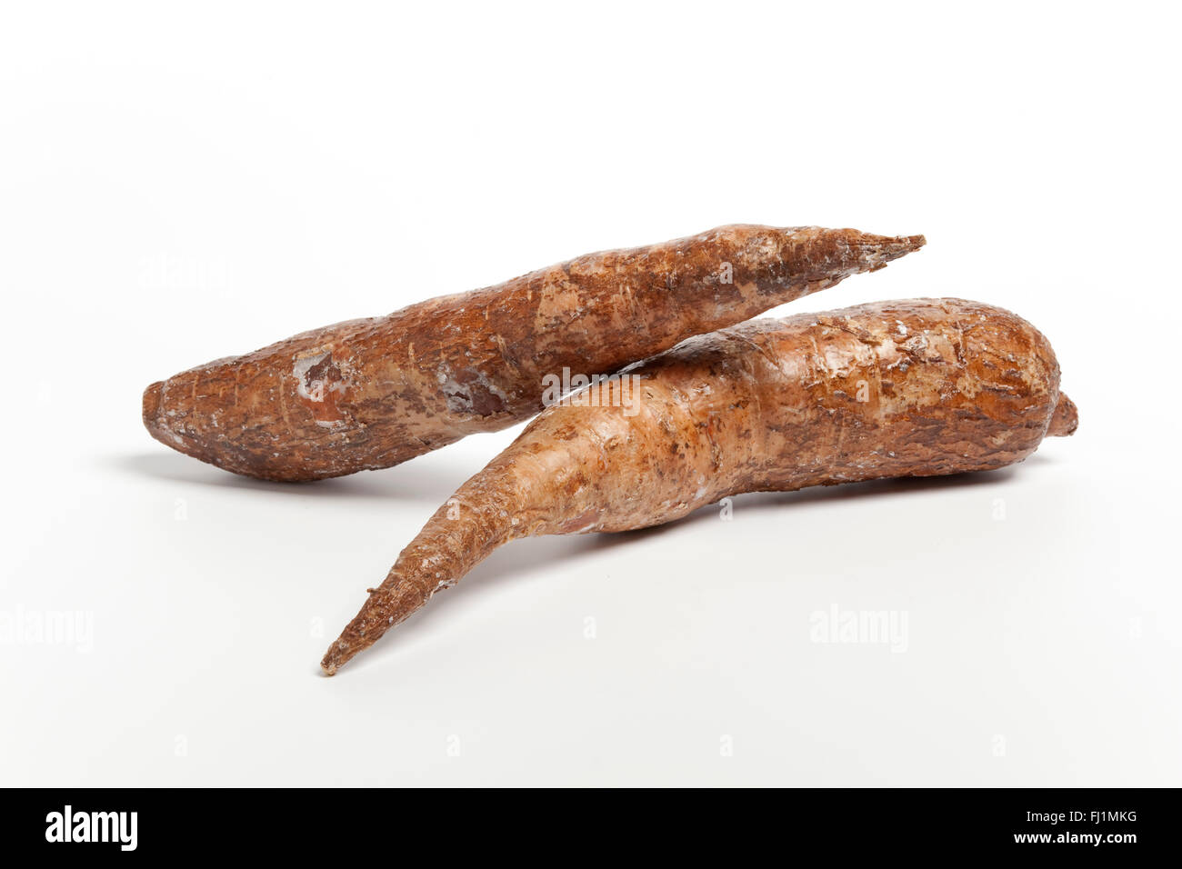 Fresh whole Maniok, Manihot esculenta on white background Stock Photo ...