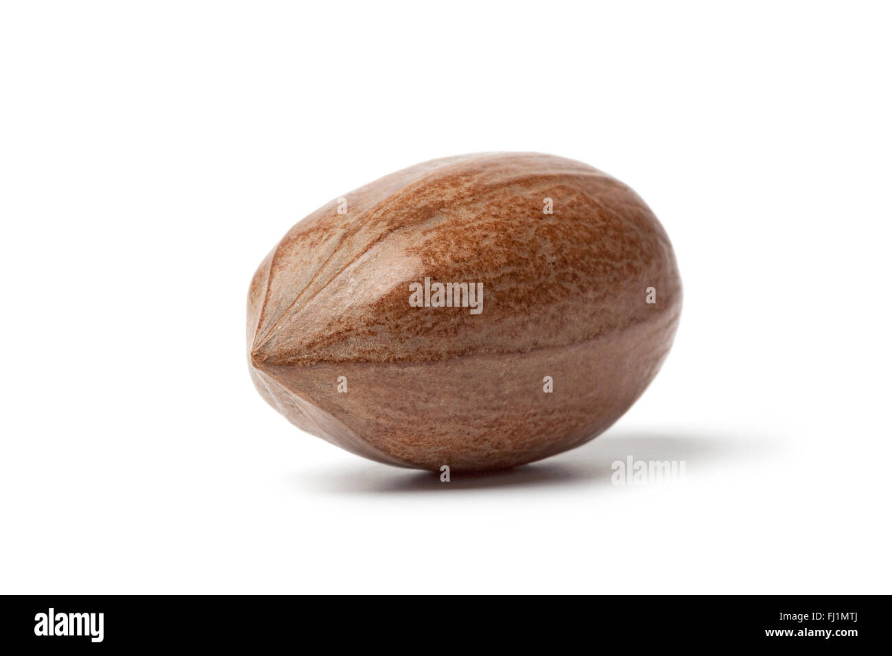 One whole single pecan nut on white background Stock Photo - Alamy